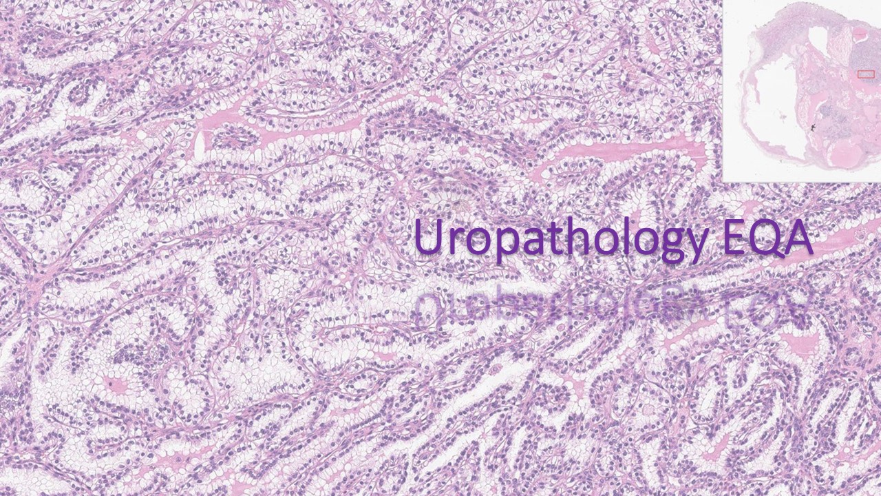 Dr Jon Oxley homepage – Consultant in Histopathology